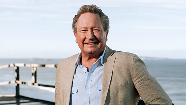 Andrew Forrest calls for $100 IMO carbon levy to make green ammonia ...